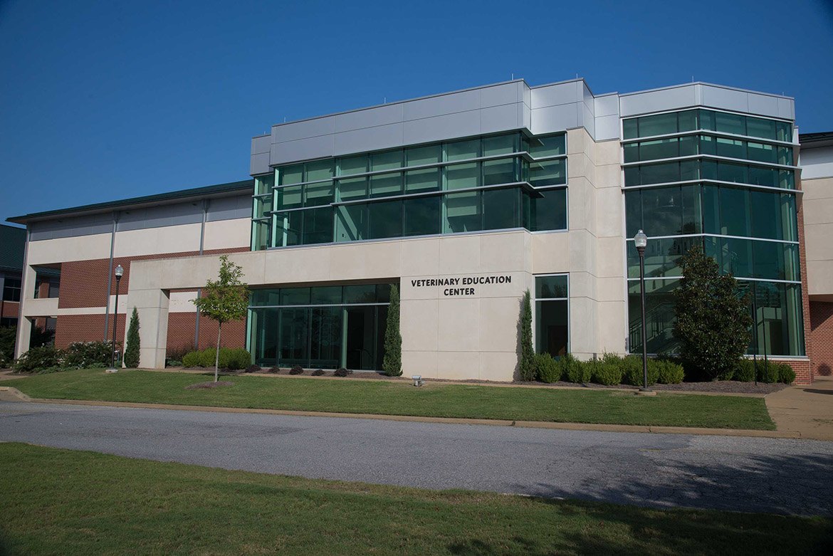 Auburn Veterinary School Castone Auburn Veterinary School Castone